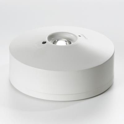China 3.6V 600mAh Rechargeable Emergency Light 100 Lumens Maintained Non-maintained IP20 for sale
