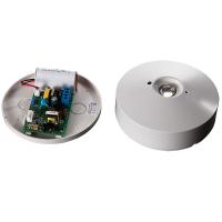 China Zhuiming L114MN SMD LED Emergency Light 3.6V 600mAh Maintained Non-Maintained 100 Lumens for sale