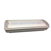 China 3W IP65 Waterproof Rechargeable LED Emergency Light with Ni-Cd Battery 3.6V 1.8Ah 3 Hours Backup for sale