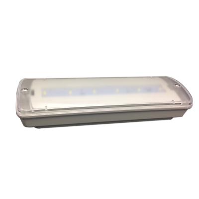 China 3W IP65 Waterproof Rechargeable LED Emergency Light with Ni-Cd Battery 3.6V 1.8Ah 3 Hours Backup for sale