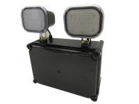 China High Brightness LED Rechargeable Twin Spot Emergency Light 220V 3 Hours IP65 for sale