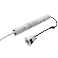 China Self Test LED Emergency Lighting Fire Resistant Ceiling Recessed Spot Light 220V 3W for sale