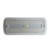 China 3 Hours Autonomy LED Recessed Emergency Light 262x100x46mm with Ni-Cd Battery 3.6V 0.6Ah for sale
