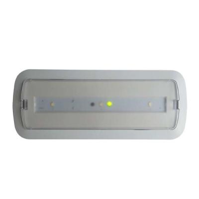 China 3 Hours Autonomy LED Recessed Emergency Light 262x100x46mm with Ni-Cd Battery 3.6V 0.6Ah for sale