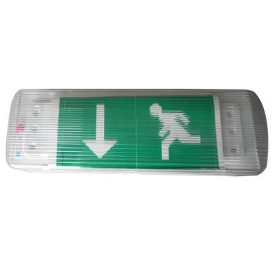 China Surface Mounted LED Emergency Light 220V-240V with Power Failure Test Button 3.6V 0.6Ah for sale