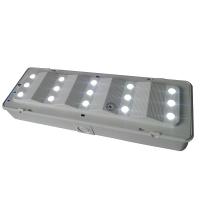 China Surface Mounted LED Emergency Light 220V-240V with Power Failure Test Button 3.6V 0.6Ah for sale