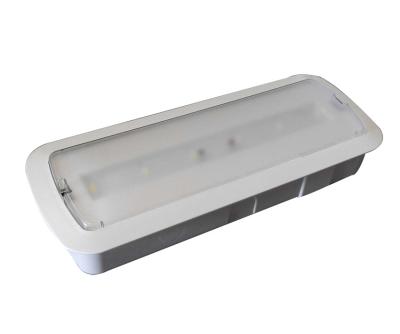 China Wall Recessed Battery Powered Rechargeable Emergency Light 220V-240V 3 Hours Autonomy for sale
