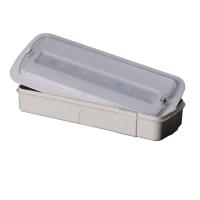 China CE Approved LED Emergency Light 6500K 3-Hour Backup AC220-240V for sale