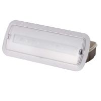 China CE Approved LED Emergency Light 6500K 3-Hour Backup AC220-240V for sale