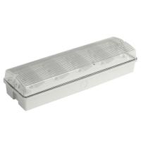 China 3W IP65 Waterproof Emergency Light with Ni-CD Battery Backup for sale