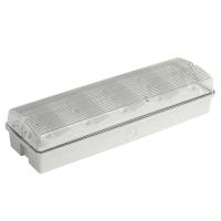 China 3W LED Emergency Light 6000K IP65 Waterproof Wall Mounted Emergency Lamp with Ni-CD Battery for sale