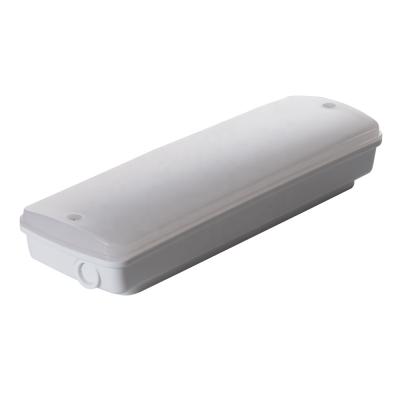 China IP65 Waterproof Rechargeable LED Emergency Light 220V 3W for sale