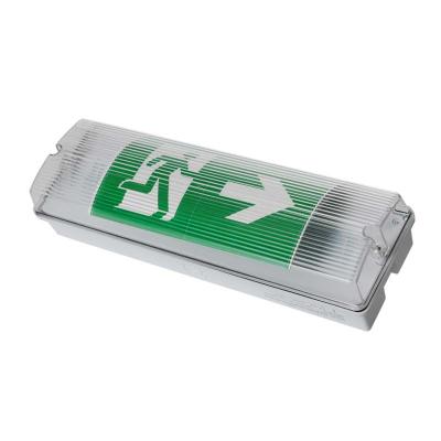 China Waterproof Emergency Light IP65 with 15 SMD LEDs 3H Duration for sale
