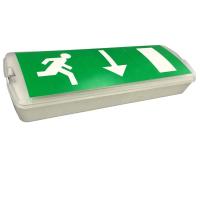 China 3W Wall Mounted Ceiling Recessed LED Rechargeable Emergency Light 180 Min Backup 220V for sale