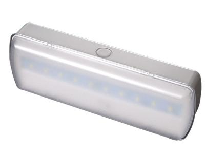 China LED Interior Emergency Light 3 Hours Ni-Cd Battery 220-240V Maintained for sale