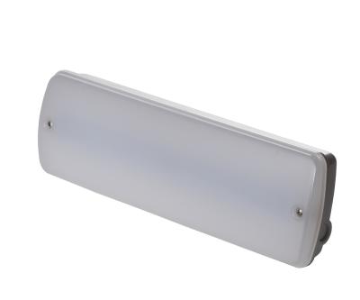 China Plastic Milky Frosty LED Emergency Panel Light IP65 Waterproof 200LM 3+ Hours Backup for sale