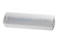 China 220V Rechargeable Emergency Light 3W Zhuiming LED 3 Hours Duration for sale
