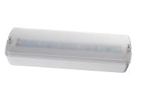 China Wall Surface LED Standby Rechargeable Emergency Light Small Size With Frosted Cover for sale