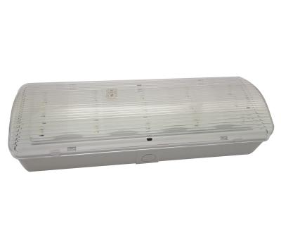 China LED Rechargeable Emergency Light 15pcs SMD 3 Hours Fire-Retardant ABS Casing 110V-240V for sale