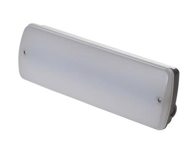 China IP65 Waterproof Small Size Emergency Light With 3 Years Warranty for sale