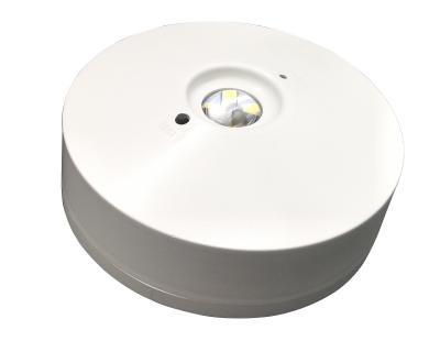 China Non Maintained IP20 LED Rechargeable Emergency Light Fire Exit Signs 220V for sale