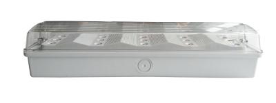 China IP65 Waterproof Maintained Non Maintained Emergency Light 220V 240V 3.6V LED for sale