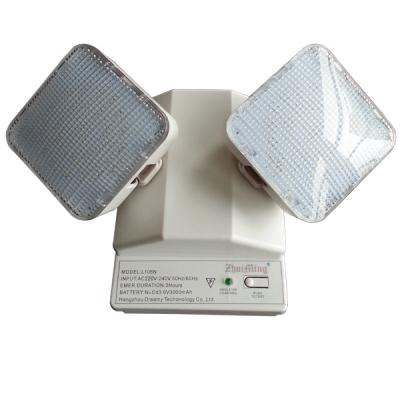 China 110V/220V Non-Maintained Self-Testing Emergency Light with PC Casing - 3+ Hour Duration, 30 LED Array, 228x145x165mm for sale