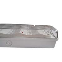 China EL015AN IP65 Waterproof Emergency LED Light with 3H Runtime and Fire-Retardant ABS Casing for sale