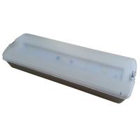 China Custom Battery Powered Non-Maintained Emergency Light with 5730 SMD LED - 238mm x 80mm x 40mm, 3+ Hours Duration for sale