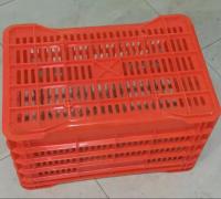 China Multi Cavity Plastic Injection Mold Making Plastic Fruit Vegetable Crate Mould for sale