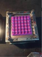 China Custom Energy Saving Injection Molding Machine For Plastic Egg Tray Mould for sale