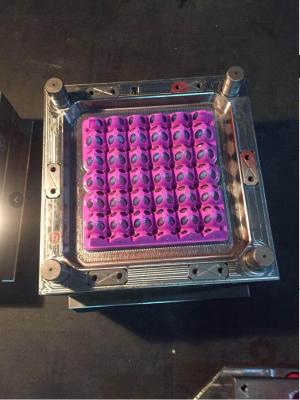 China Custom Energy Saving Injection Molding Machine For Plastic Egg Tray Mould for sale