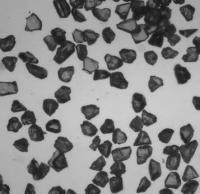 China OEM Black BDD Boron Doped Diamond Electrodes Pure Polycrystalline CVD Diamond for sale