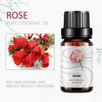 China Skin OEM Essential Oil Cosmetic Aromatic 100% Pure Rose Essential Oil for sale
