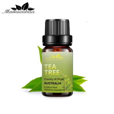China 10ml Tea Tree Essential Oil Acne Skin Care ODM MSDS Cosmetic Grade for sale