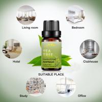 China 10ml Tea Tree Essential Oil Acne Skin Care ODM MSDS Cosmetic Grade for sale