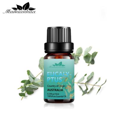 China OEM Eucalyptus Oil Aromatherapy USDA 100% Pure Eucalyptus Essential Oil for sale