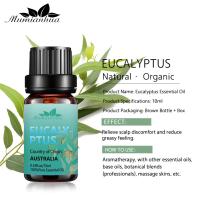 China OEM Eucalyptus Oil Aromatherapy USDA 100% Pure Eucalyptus Essential Oil for sale