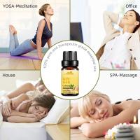 China 10ml Organic Ginger Essential Oil Hair Growth MSDS OEM For Hair Loss Treatment for sale