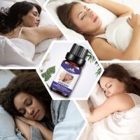 China Good Sleep Shaping Compound Essential Oil Blend Pure Diffuser 10ml for sale
