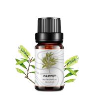 China 100ml Massage Essential Oils MSDS Cajeput Essential Oil Skin Benefits for sale