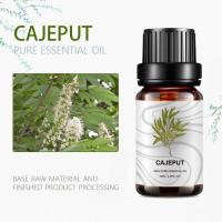 China 100ml Massage Essential Oils MSDS Cajeput Essential Oil Skin Benefits for sale
