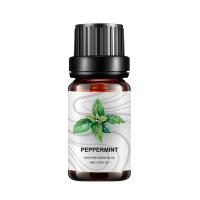 China OEM Bulk Peppermint Essential Oil 10ml 100% Natural Peppermint Oil Diffusion for sale