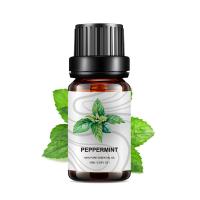 China OEM Bulk Peppermint Essential Oil 10ml 100% Natural Peppermint Oil Diffusion for sale