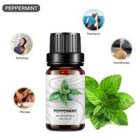 China OEM Bulk Peppermint Essential Oil 10ml 100% Natural Peppermint Oil Diffusion for sale
