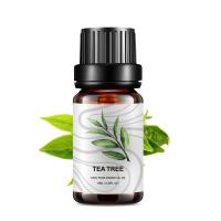 China Pure Bulk Tea Tree Essential Oil 10ml Diffuser Aromatherapy Essential Oil COA for sale