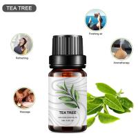 China Pure Bulk Tea Tree Essential Oil 10ml Diffuser Aromatherapy Essential Oil COA for sale