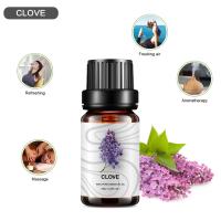 China Diffuser OEM Essential Oil 50ml MSDS 100% Pure Clove Essential Oil Aromatherapy for sale