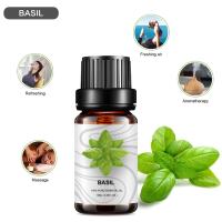 China Massage OEM Essential Oil New ODM Basil Essential Oil Diffuser Cosmetics for sale