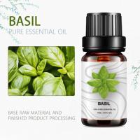 China Massage OEM Essential Oil New ODM Basil Essential Oil Diffuser Cosmetics for sale